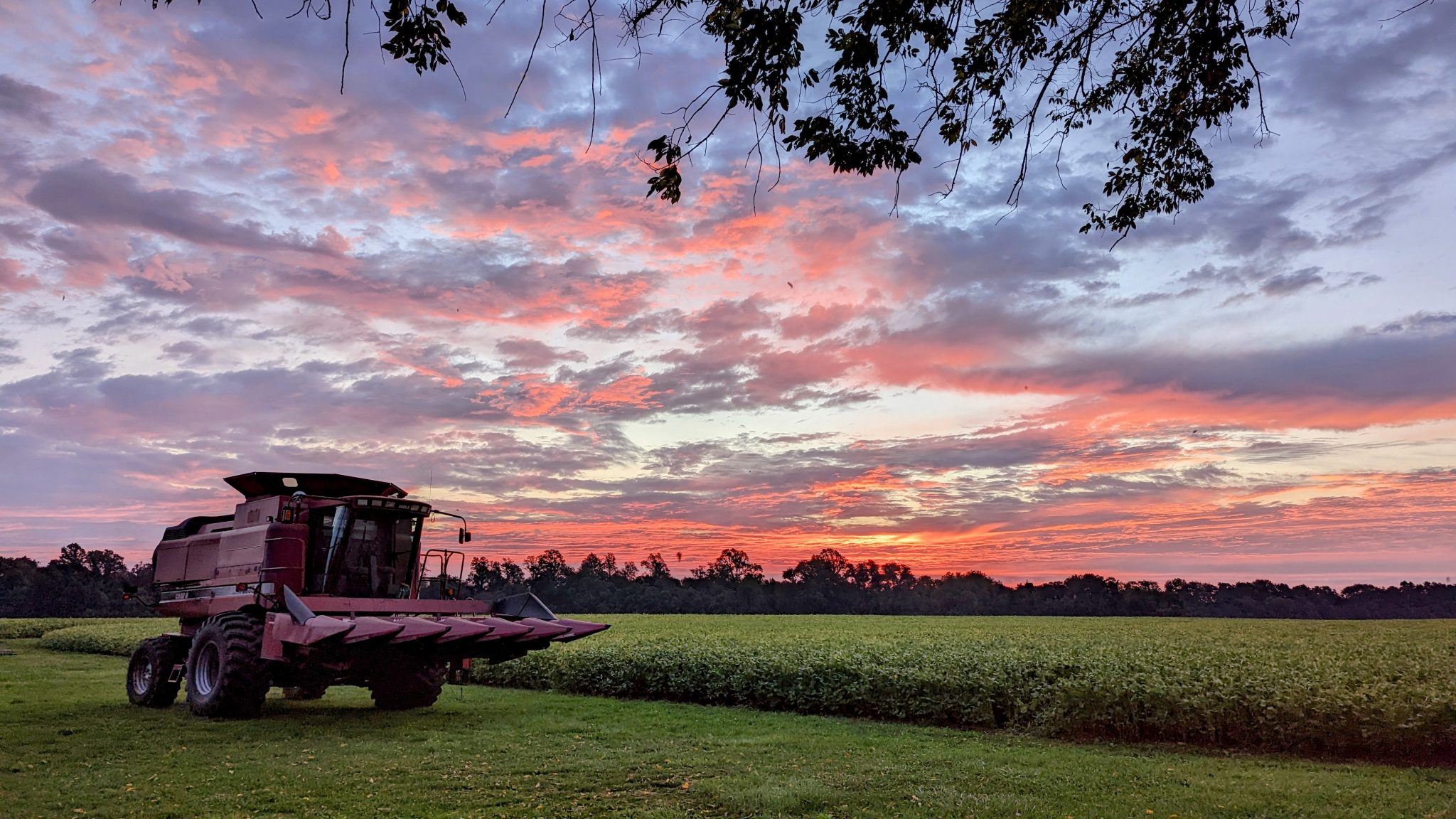 Delaware Farm Bureau announces winners of 2025 Annual Photo Contest